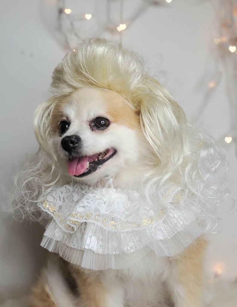 Curly Pet Wig: Handmade Dog/cat Costume - Etsy