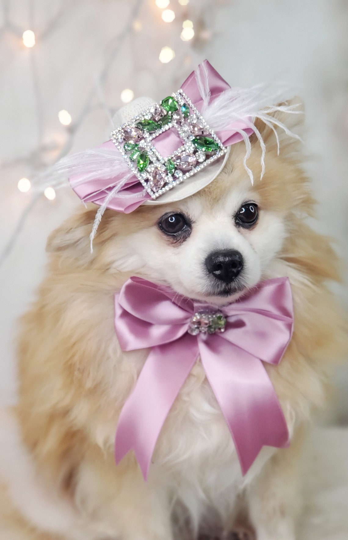 Elegant Feathered Pet Hat With Bow, XS-M Dog or Cat Costume - Etsy
