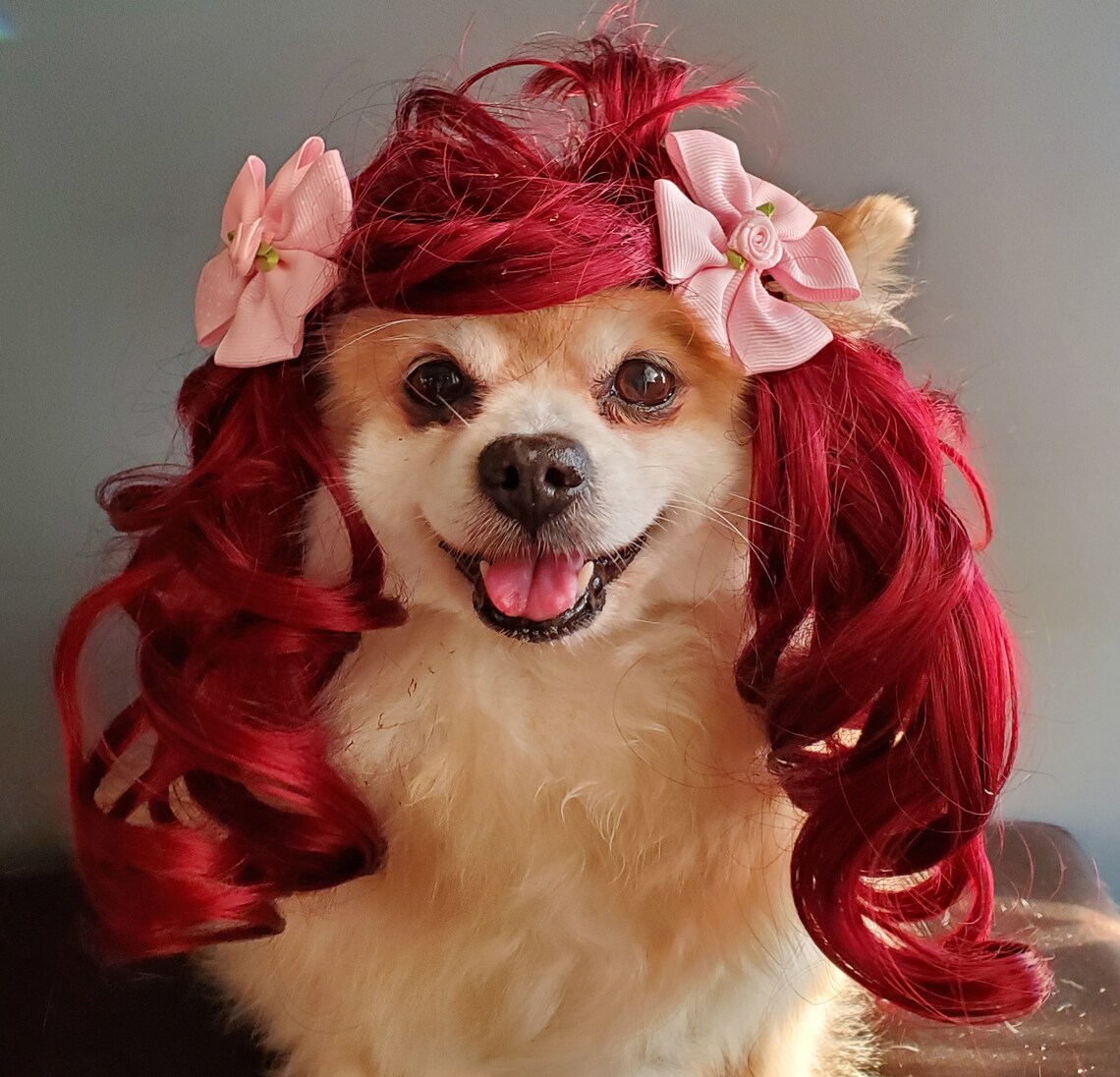 Red Pet Wig With Pink Bow - Cat or Dog Costume - Etsy