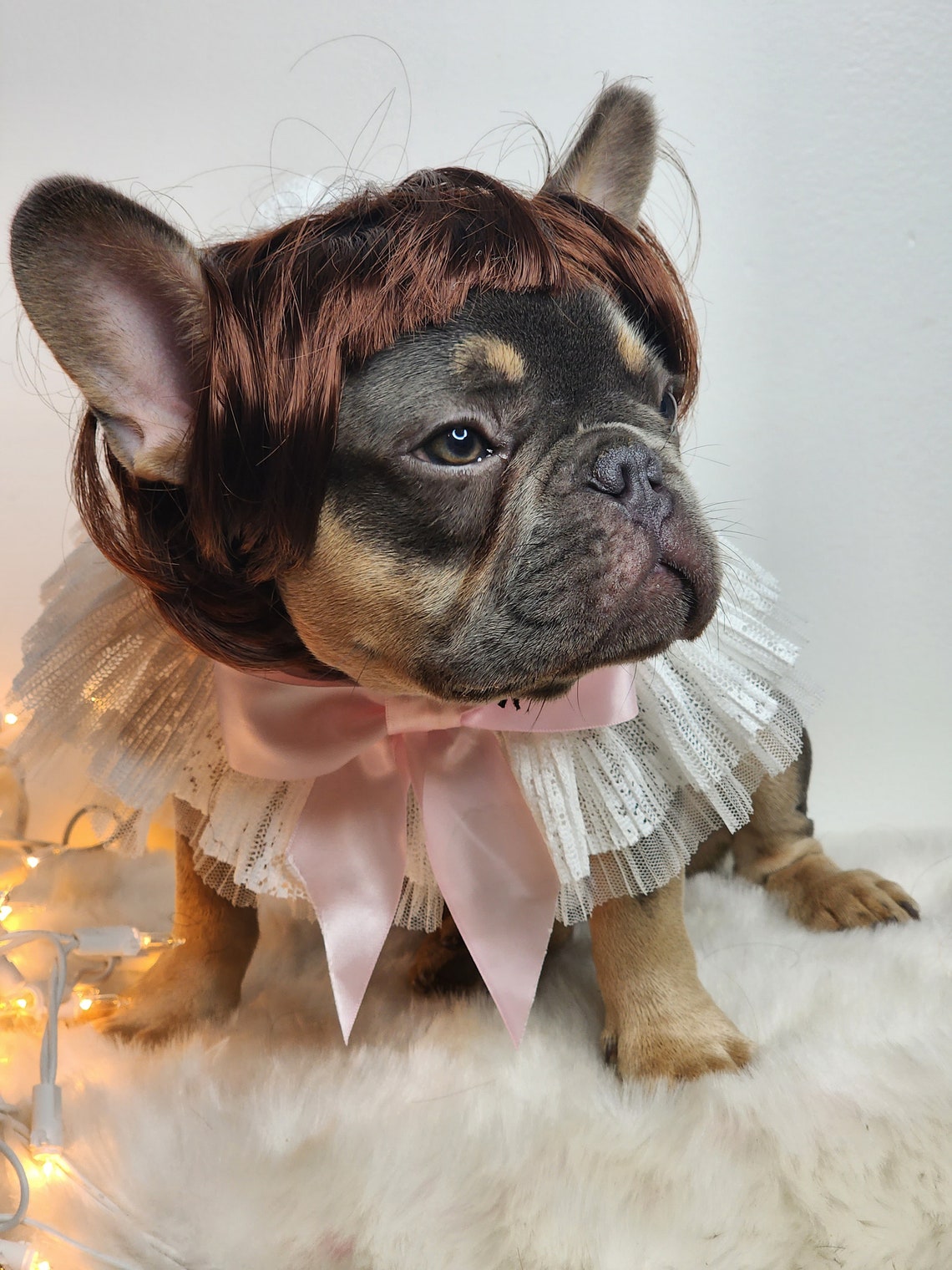 Pet Wig Brown Color for Dog or Cat/halloween Dog Wig / Pet Costume /dog ...