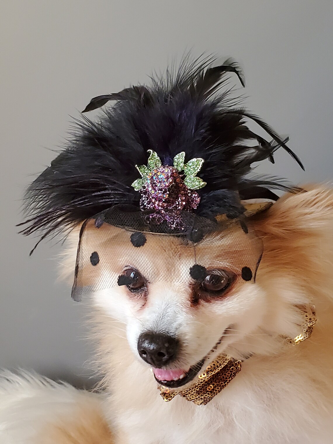 Gold Color Hat With Feather and Flower for Dog or Cat - Etsy