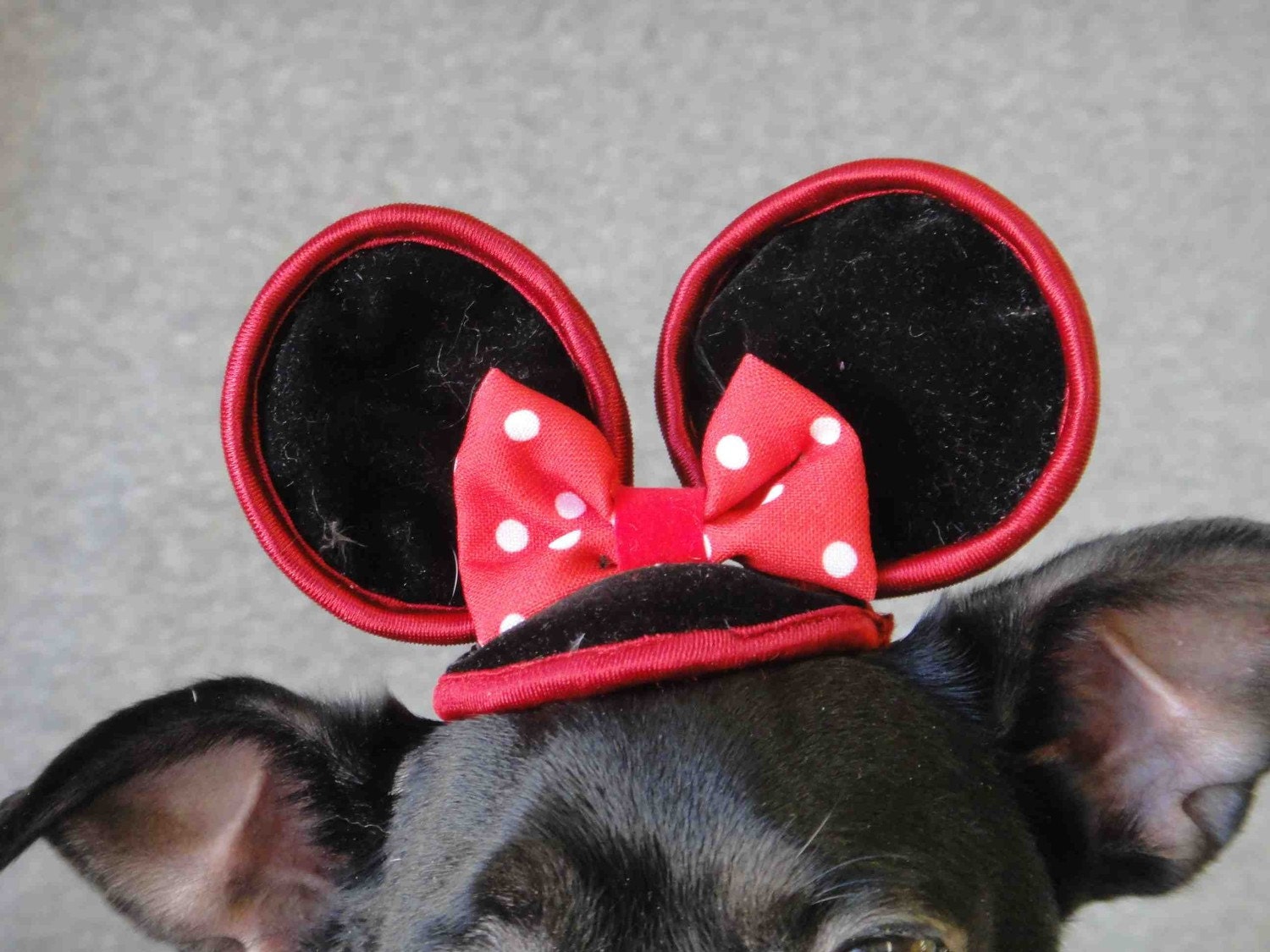Mini Mouse Hat for Dog of Cat - Etsy