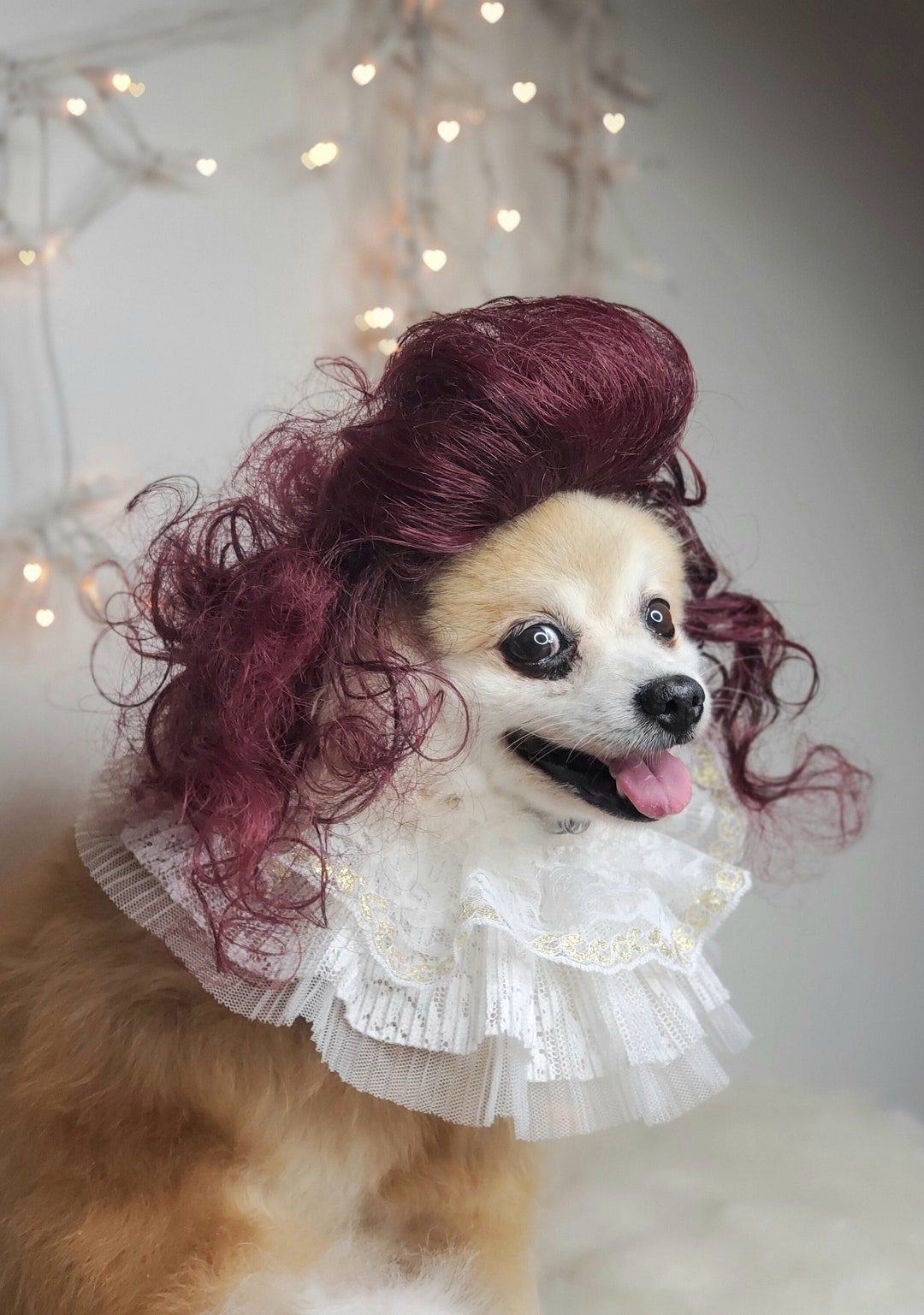 Curly Pet Wig: Handmade Dog/cat Costume - Etsy