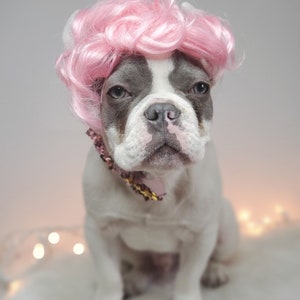 Pink Pet Wig for Dog or Cat, Halloween Costume - Etsy
