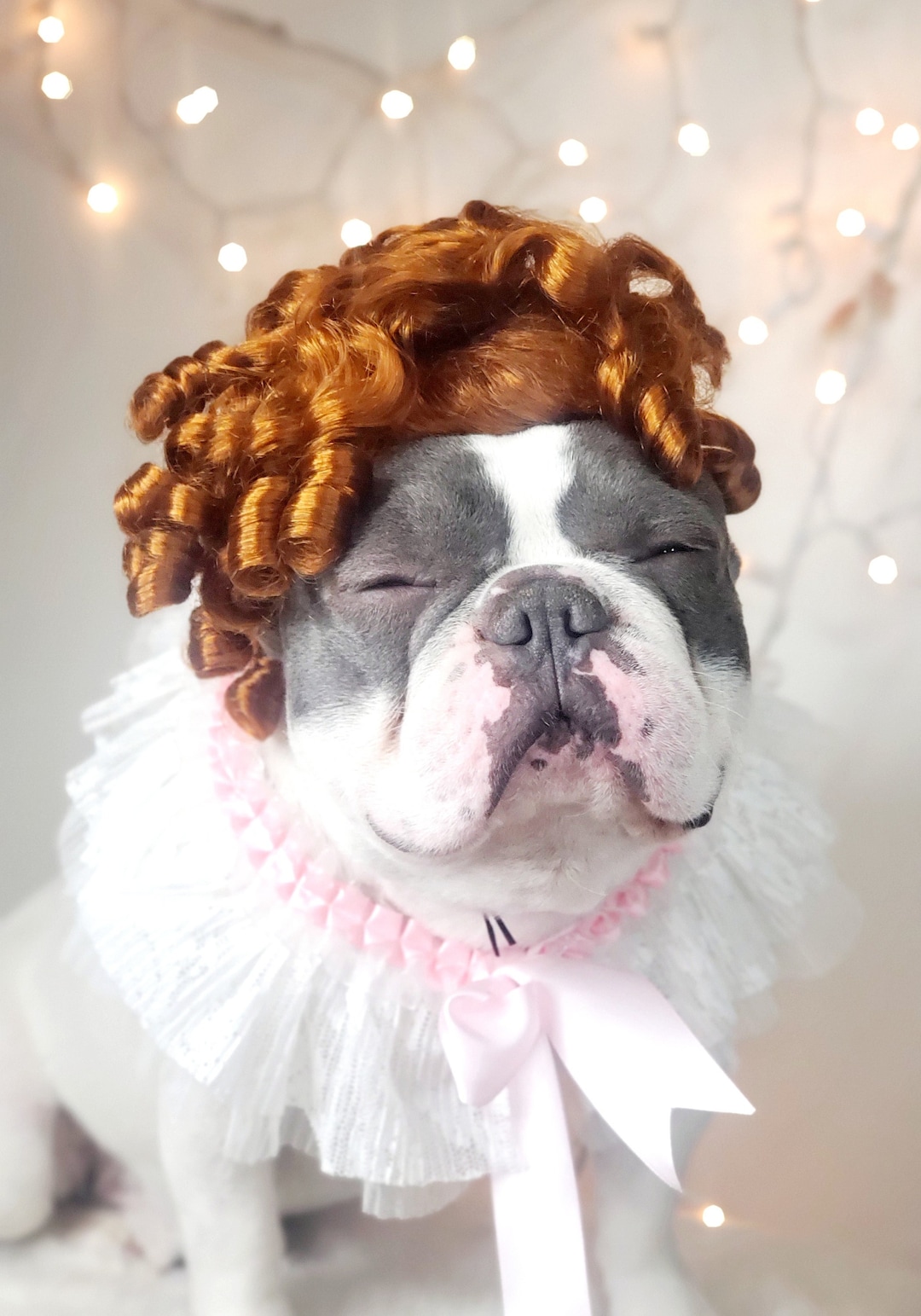 Large Dog Wig: Elegant Pet Costume - Etsy