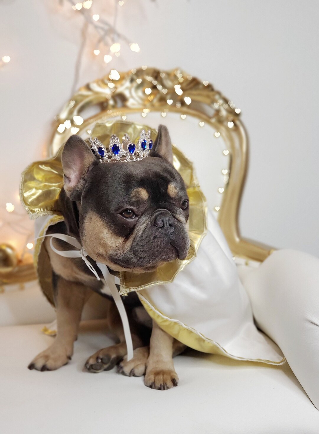 Gold Color Crown for Dog or Cat /princess Dog Crown / Crown - Etsy