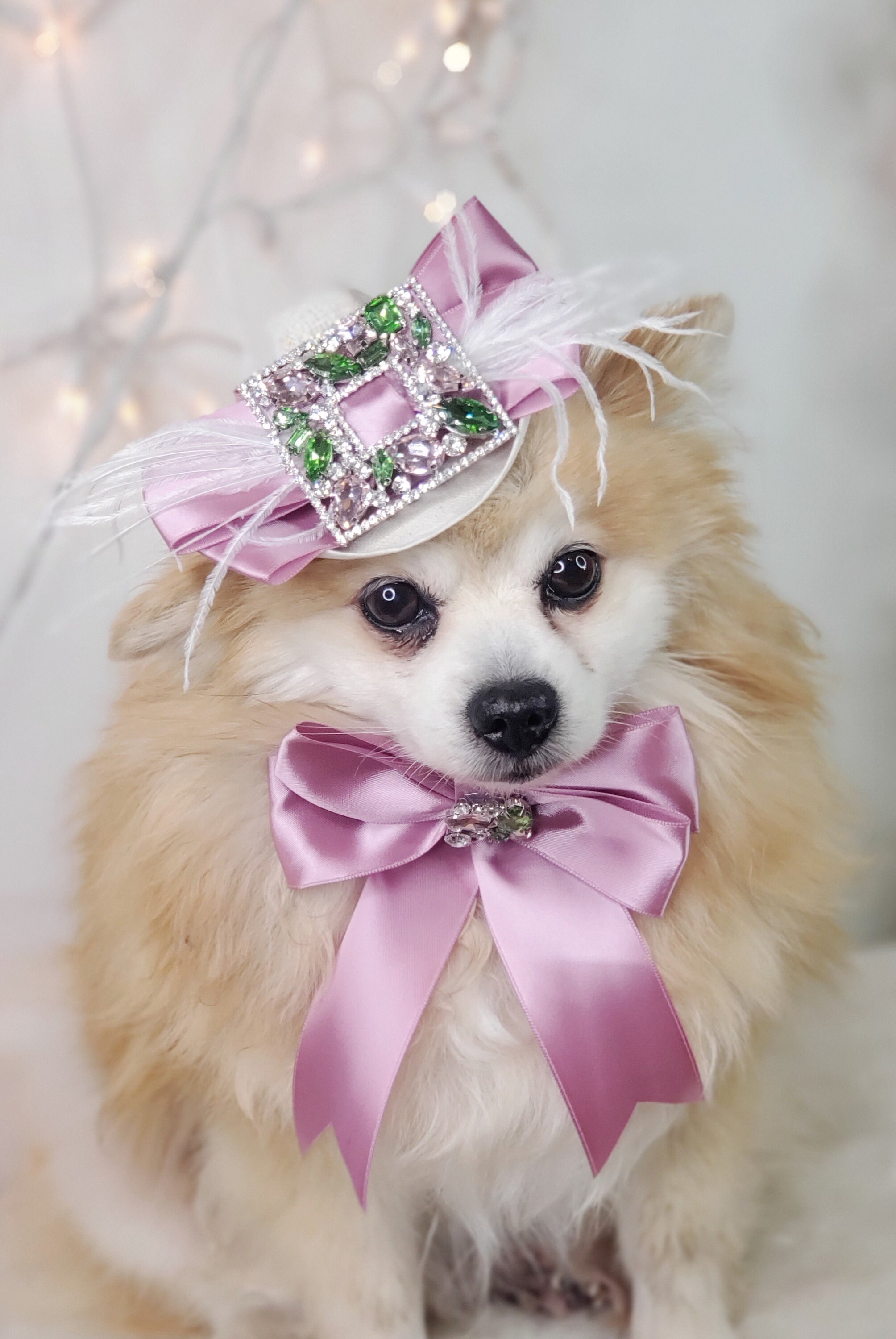 Elegant Feathered Pet Hat With Bow, XS-M Dog or Cat Costume - Etsy