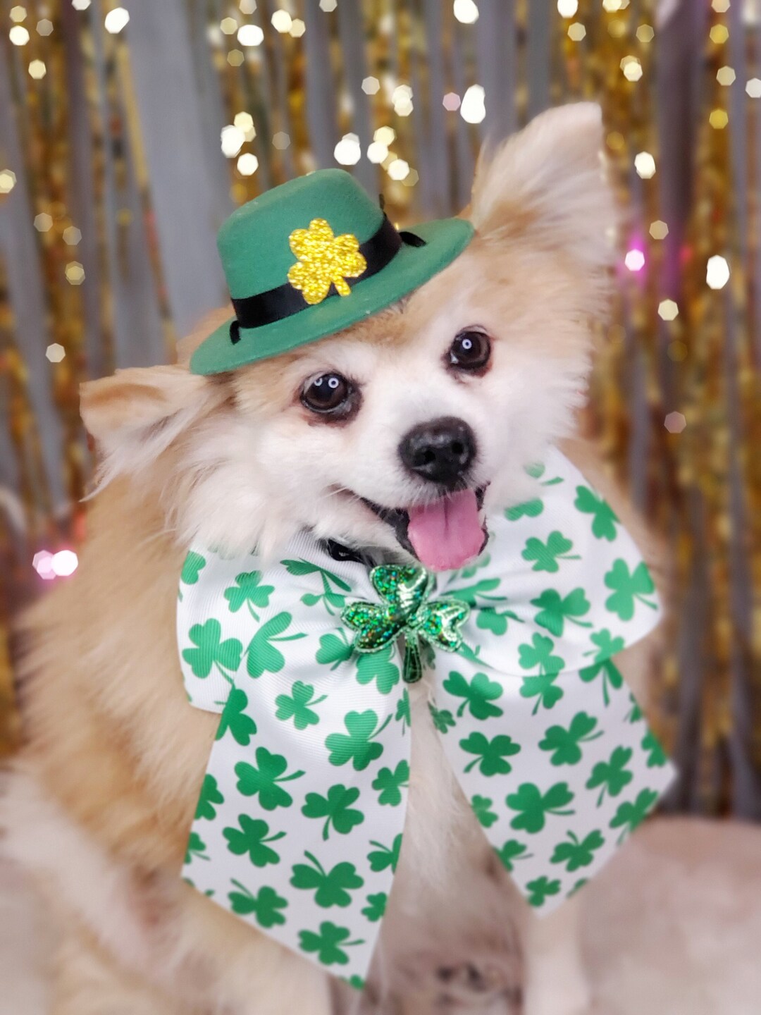 St. Patrick's Day Pet Hat, Green Irish Top Hat for Dogs - Etsy