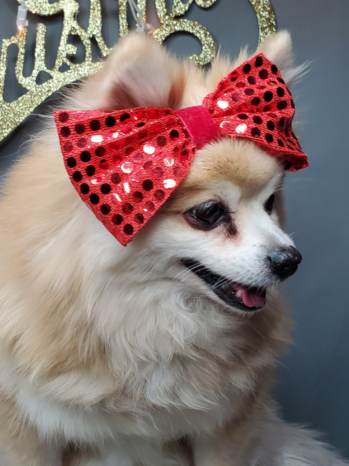 Christmas red bow // Dog Halloween Bow // Costume Dog | Etsy
