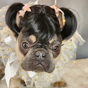 Black Pet Wig With Pony Tails, Cute Dog Costume - Etsy