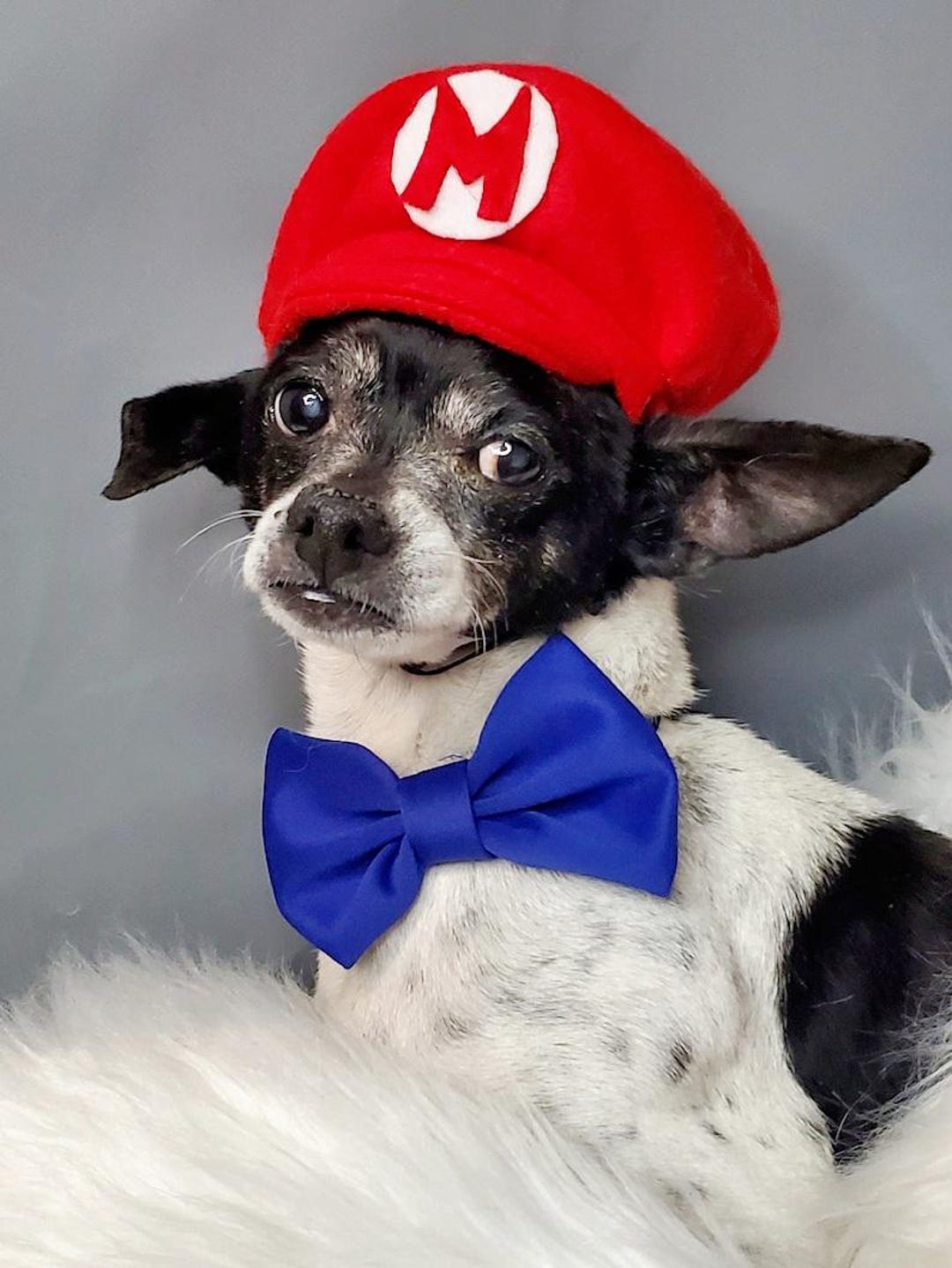 Super Mario Pet Hat, Red Costume for Dog or Cat - Etsy