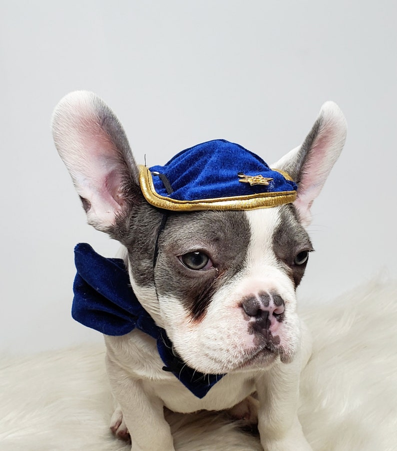 Set Listing DOG KIPPAH Hanukkah Hat and Bow Set for Dog or Cat - Etsy