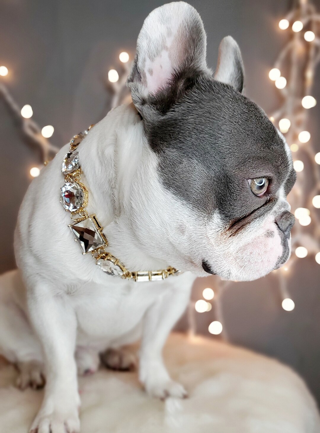 Supper Cute Dog Neck Chain Gold Color/ Jewelry for Pet /jewelry Collar ...