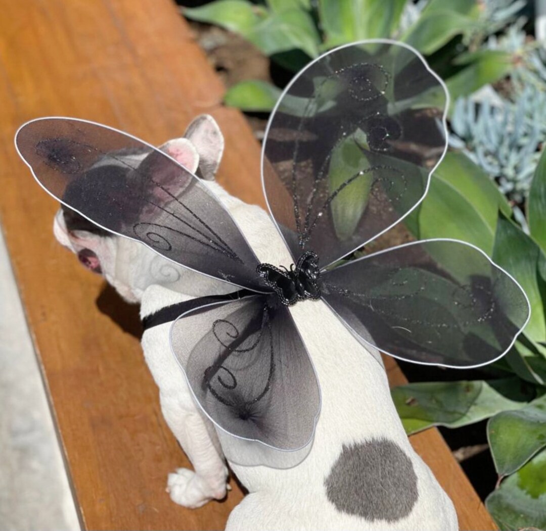 Butterfly Wings Costume for Dogs, Elegant Pet Accessory - Etsy