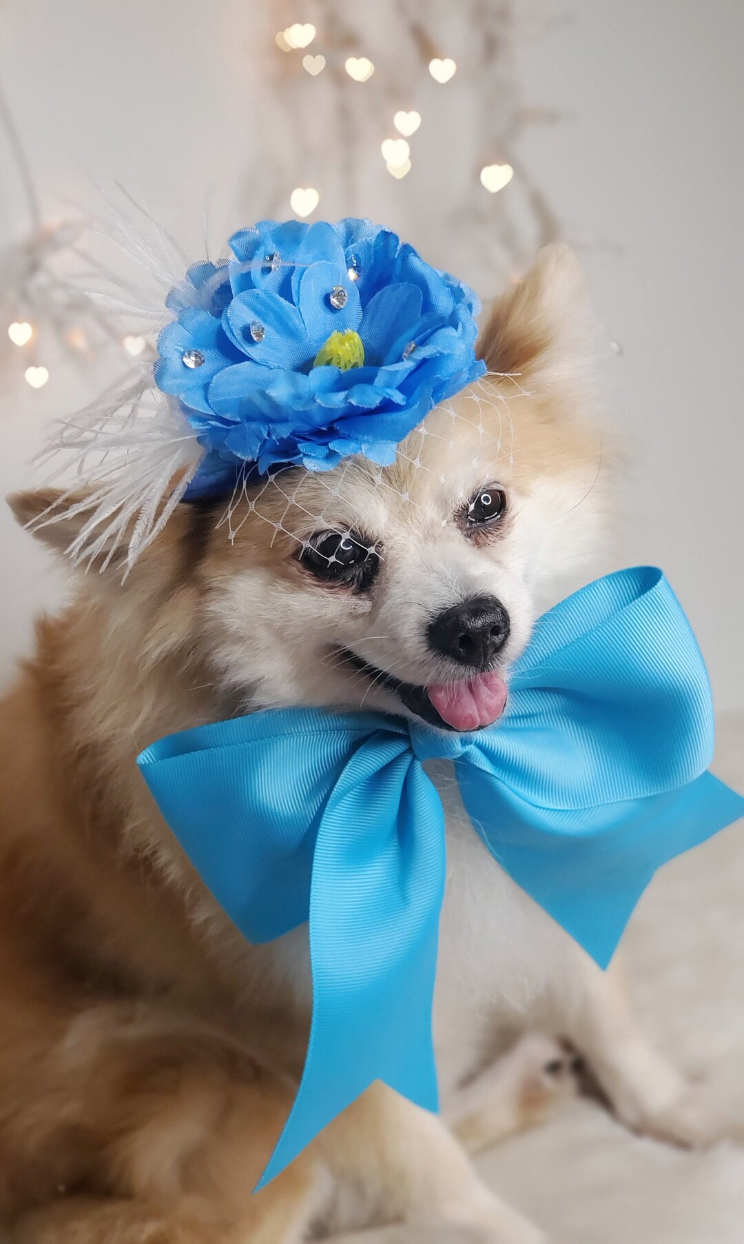 Elegant Pet Hat With Feather and Flower, XS-M Dog or Cat Costume - Etsy