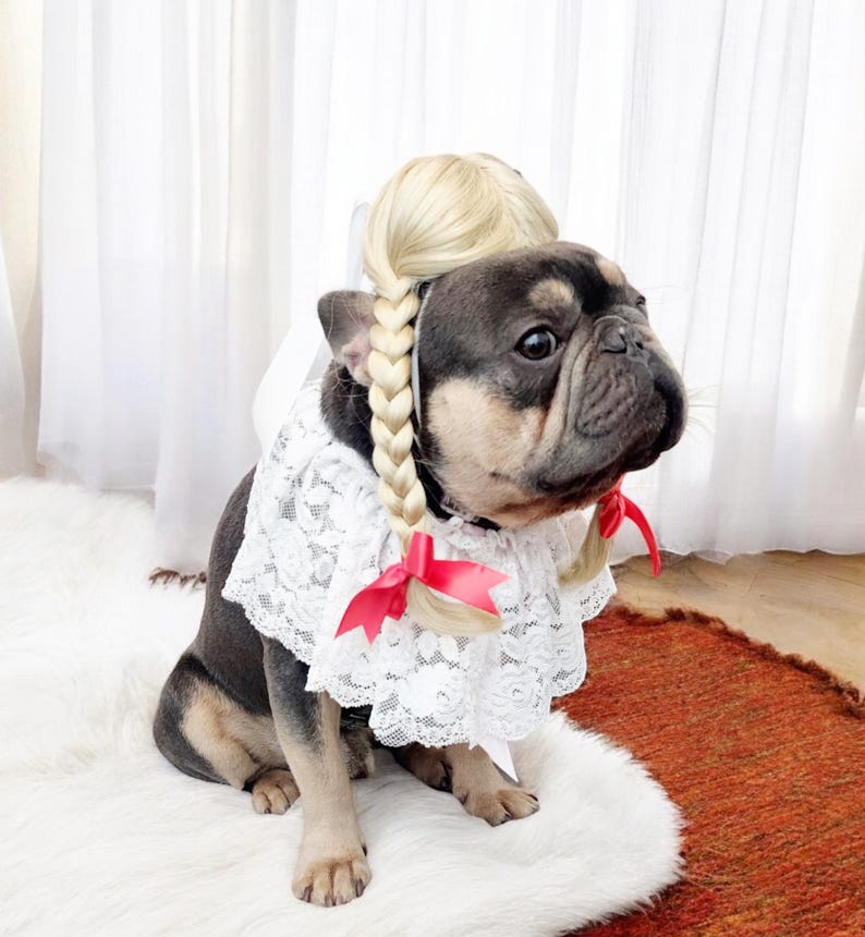 Braided Pet Wig With Red Bows, Dog or Cat Halloween Costume - Etsy
