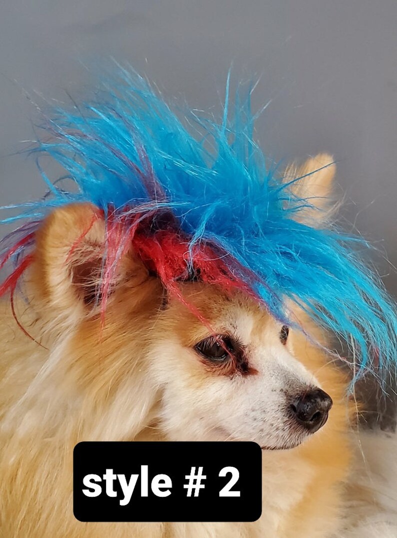 Mohawk for Your Pet / Halloween Dog Costume /cat Mohawk / - Etsy