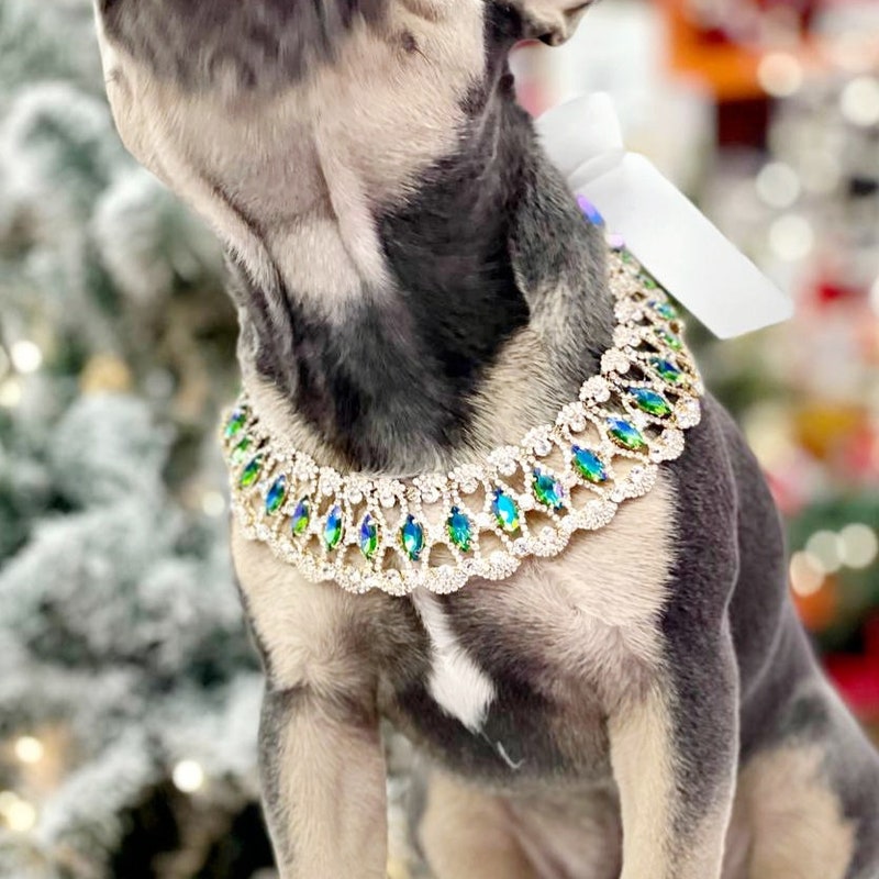 Dog Jewelry - Etsy