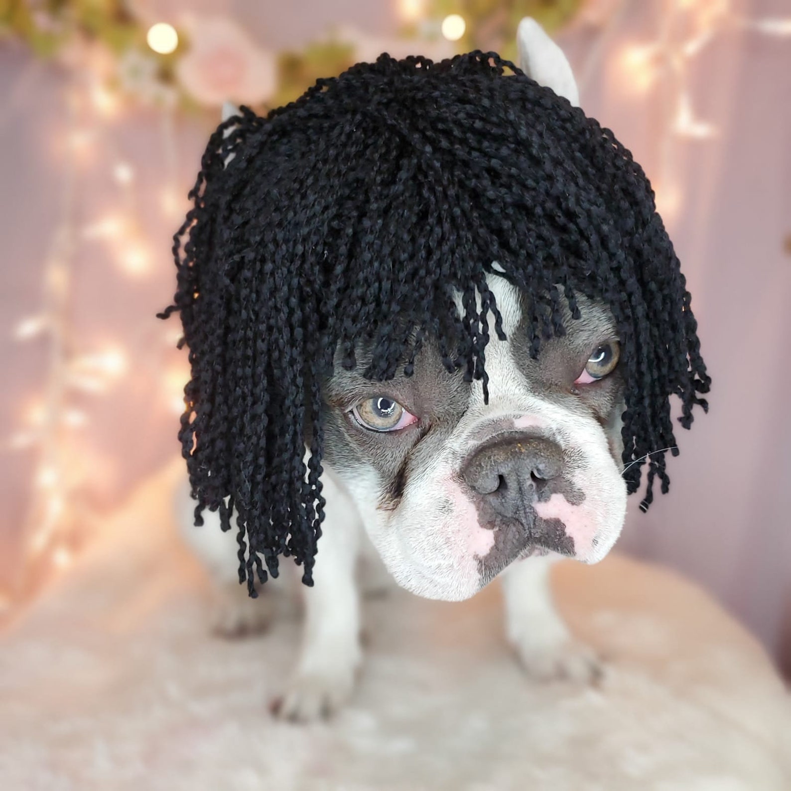 Black Pet Wig | Adjustable Costume Wig for Dogs & Cats - Etsy