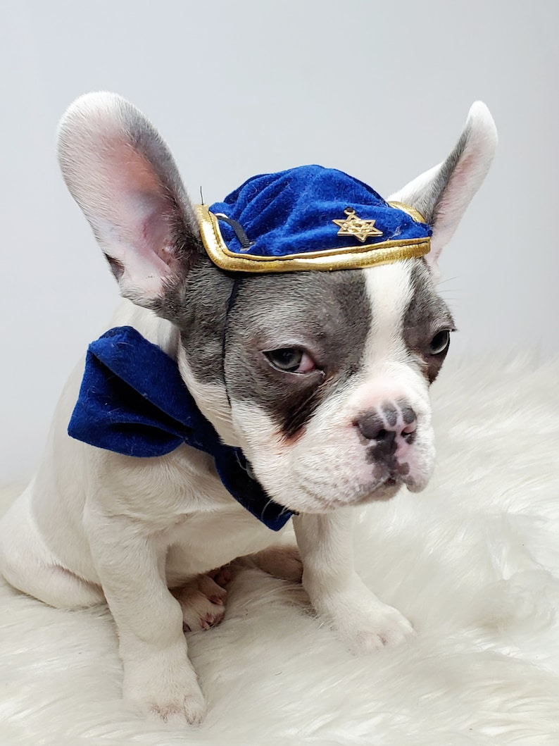 Set Listing DOG KIPPAH Hanukkah Hat and Bow Set for Dog or Cat - Etsy