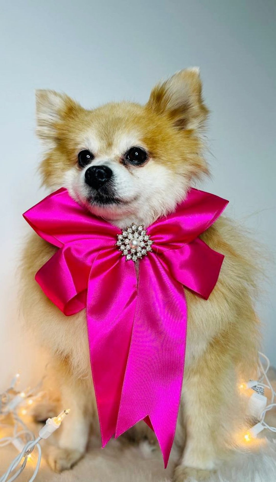 Sating Bow Tie // Dog Halloween Bow // Dog Neck Tie || Pet Bow Tie ...