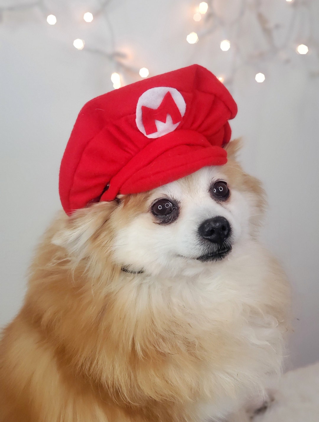 Wario, Waluigi, Fire Mario , Mario ,luigi Dog Costume/halloween Dog and ...