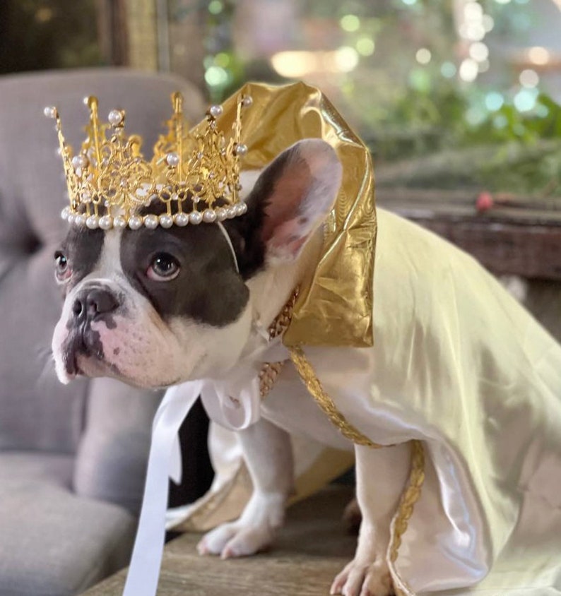 Gold Pet Crown With Adjustable Elastic – Princess Dog or Cat Costume - Etsy