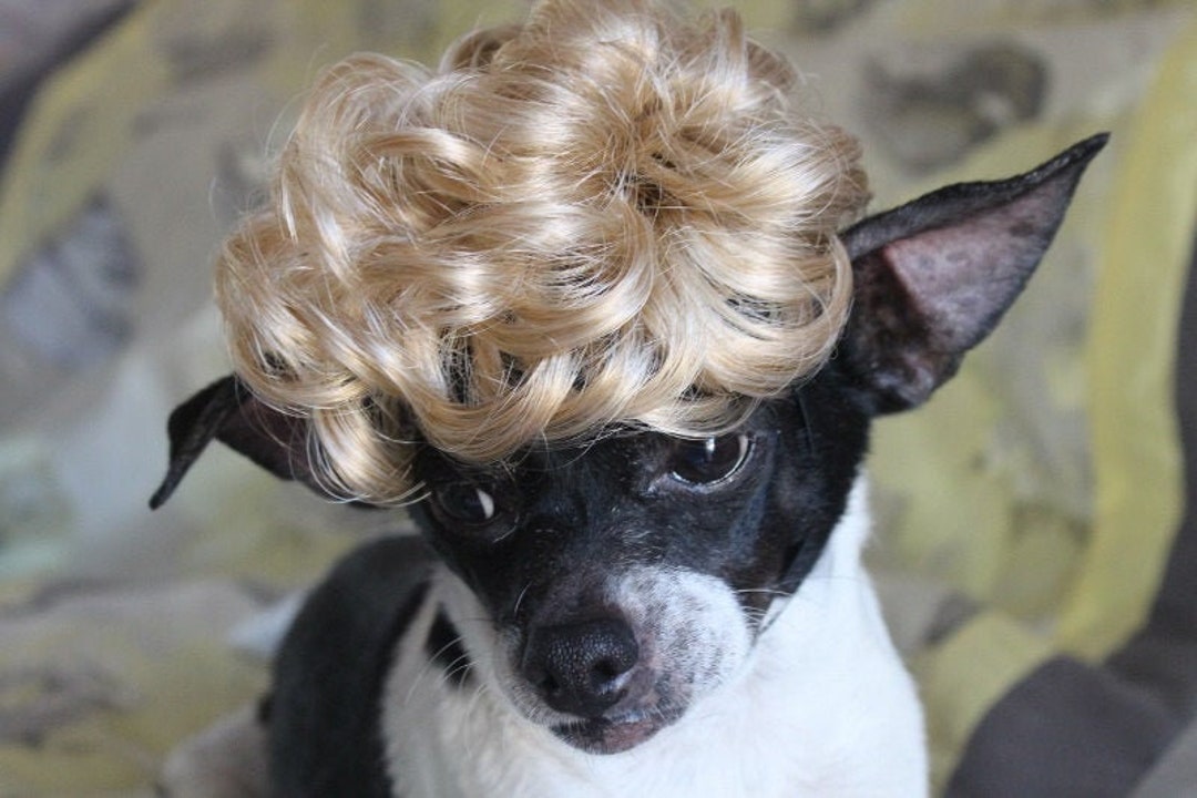 Pet Wig for Dog or Cat Blond Color / Halloween Pet Wig /halloween Wig ...