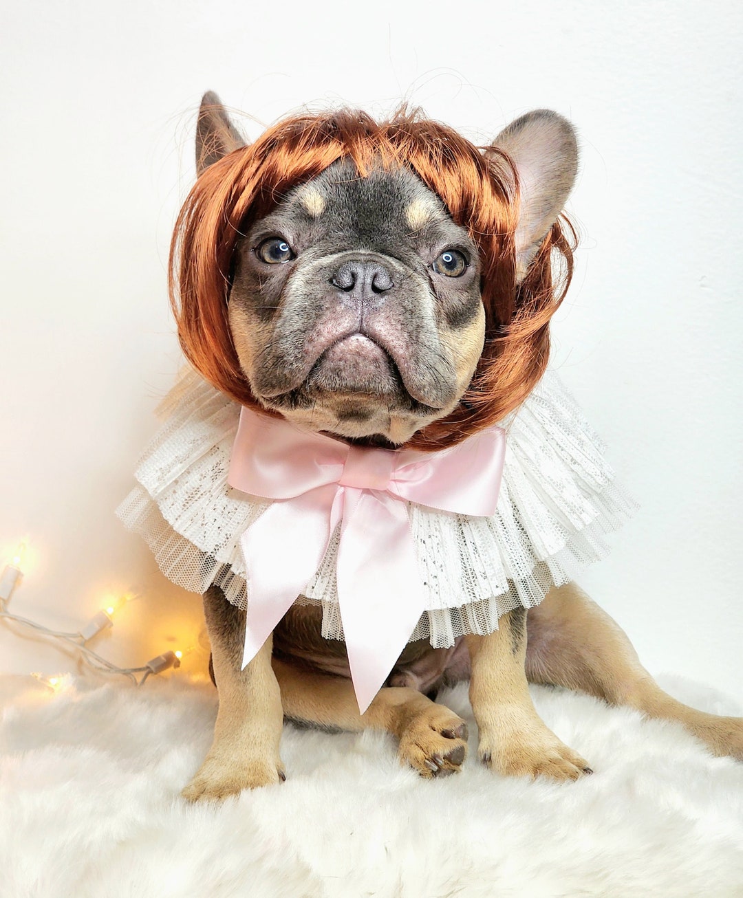 Pet Wig for Dog or Cat/halloween Dog Wig / Pet Costume /dog Costume ...