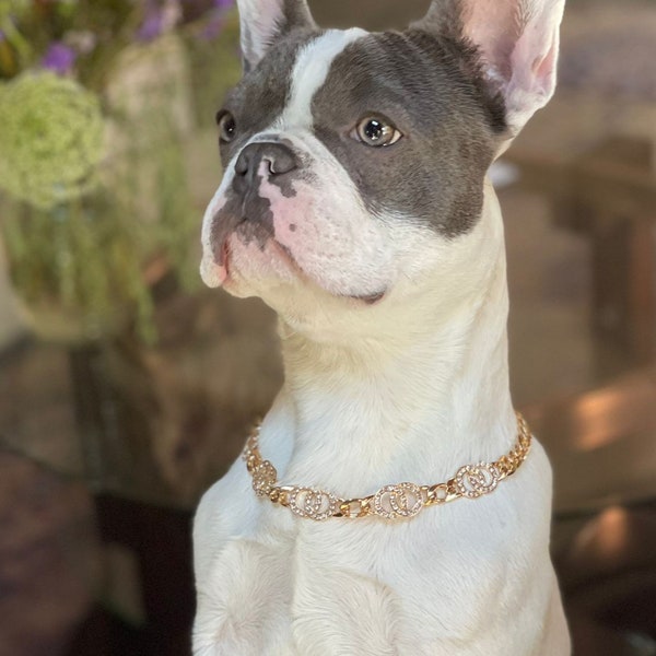 Dog Chain - Etsy