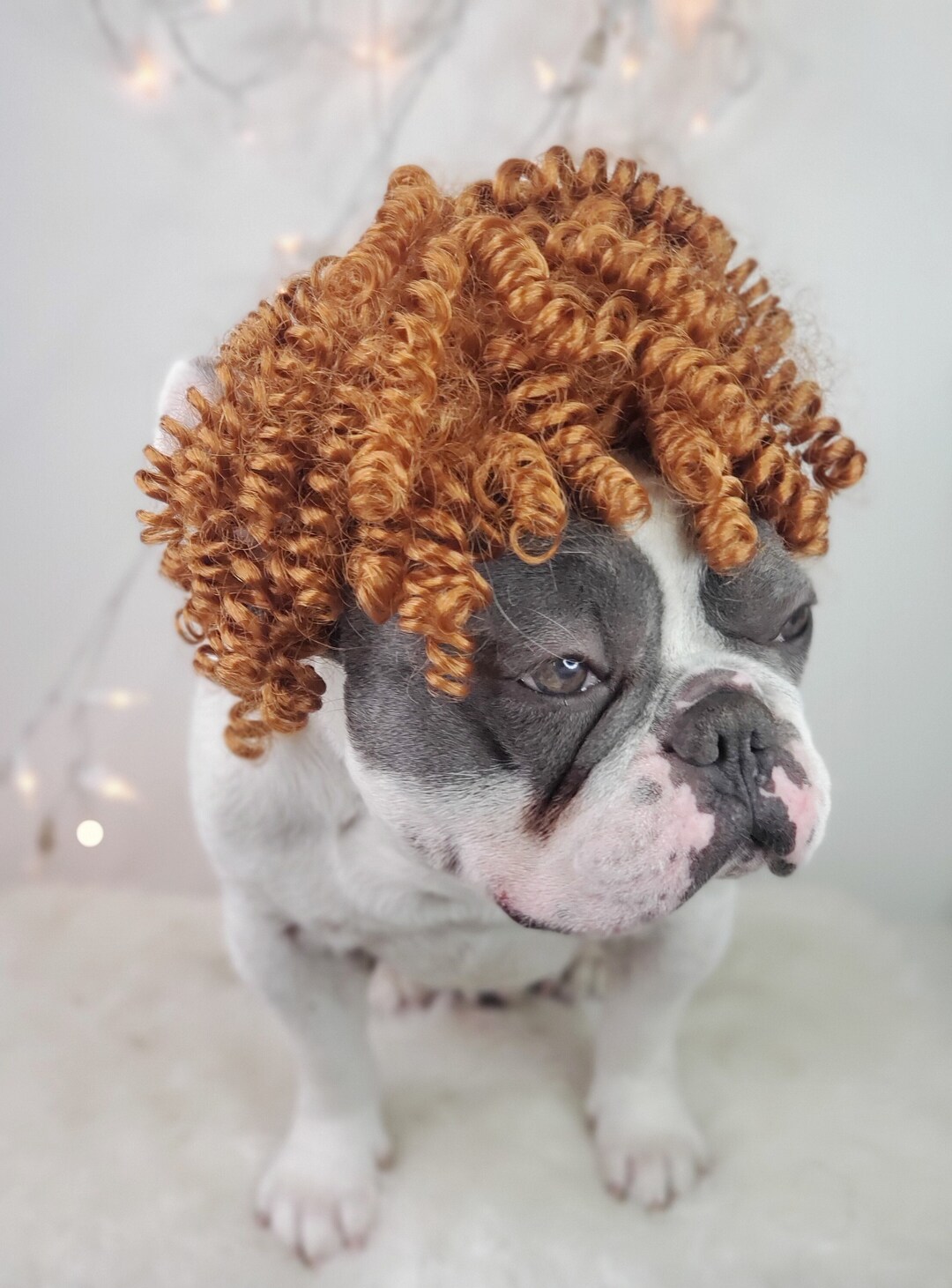 Large Brown Dog Wig, Halloween Costume, Pet Accessory - Etsy