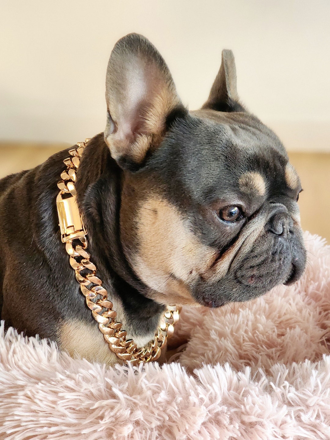 Cuban Link /supper Cute Dog Neck Chain Gold Color/ Jewelry for Pet ...