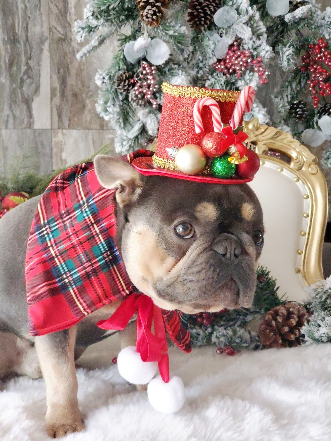 Christmas Pet Costume: Red Dog Hat & Cape Set - Etsy
