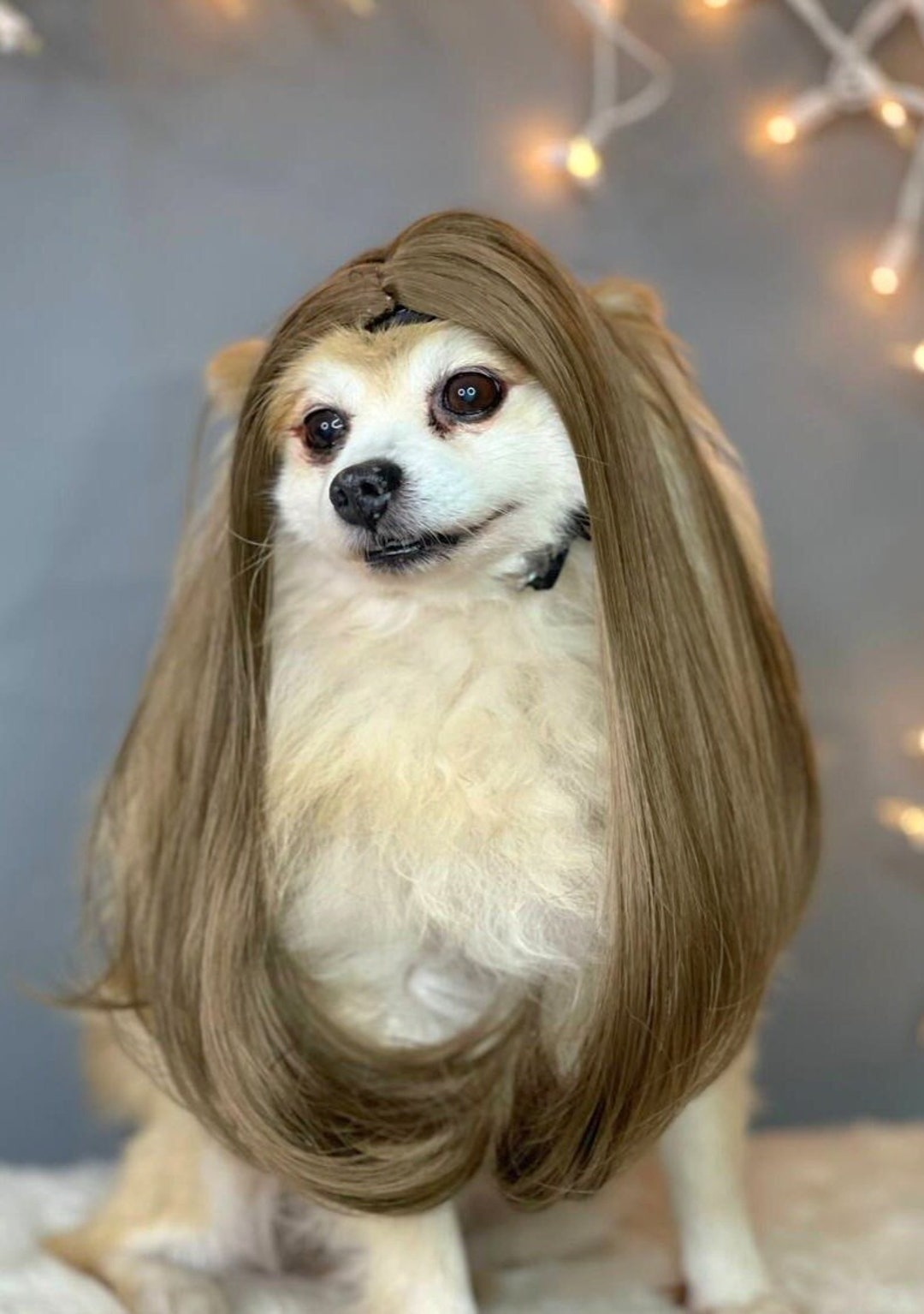 Cute Pet Wig for Dog or Cat / Halloween Pet Wig / Costume Dog Wig /dog ...