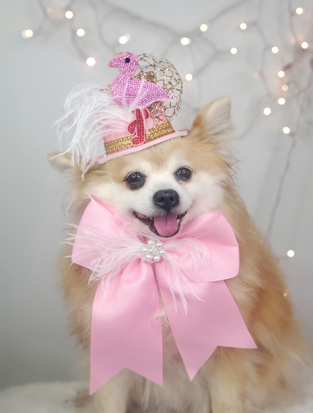Elegant Pink Color Hat With Feather and Bird/ Hat for Dog or Cat /hat ...
