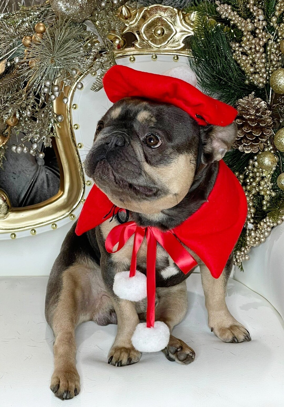 Beret Hat With Cape Dog or Cat /hat for Dogs/beret for Dogs / - Etsy