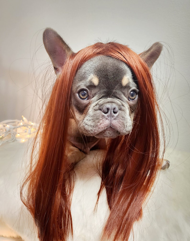 Pet Wig for Dog or Cat, Elegant Puppy Costume - Etsy
