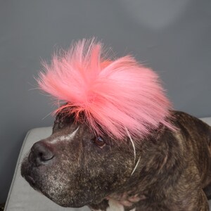 Hot Pink Mohawk Wig for Large Dogs: Adjustable Halloween Costume - Etsy