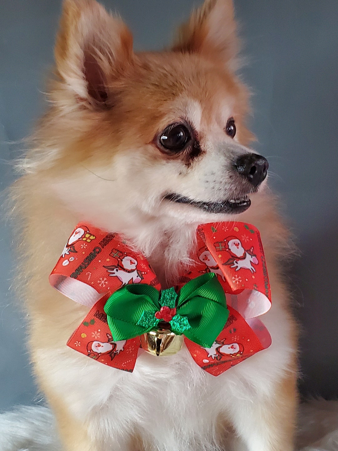 Red Dog Christmas Bow Tie | Handmade Pet Necktie With Bell - Etsy