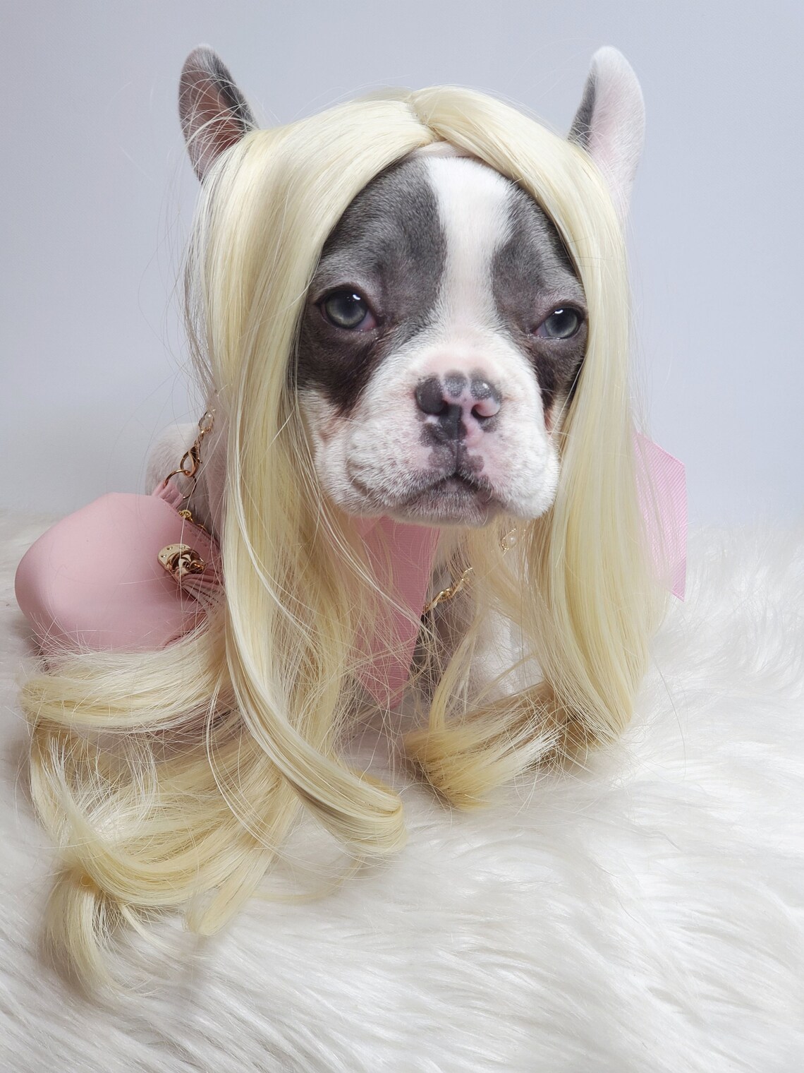 Blond Pet Wig, Adjustable Costume for Dog or Cat - Etsy