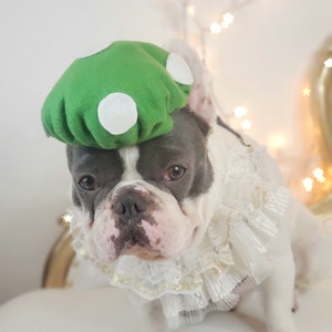 Mushroom Pet Hat, Super Mario Dog Costume, Adjustable Fit - Etsy