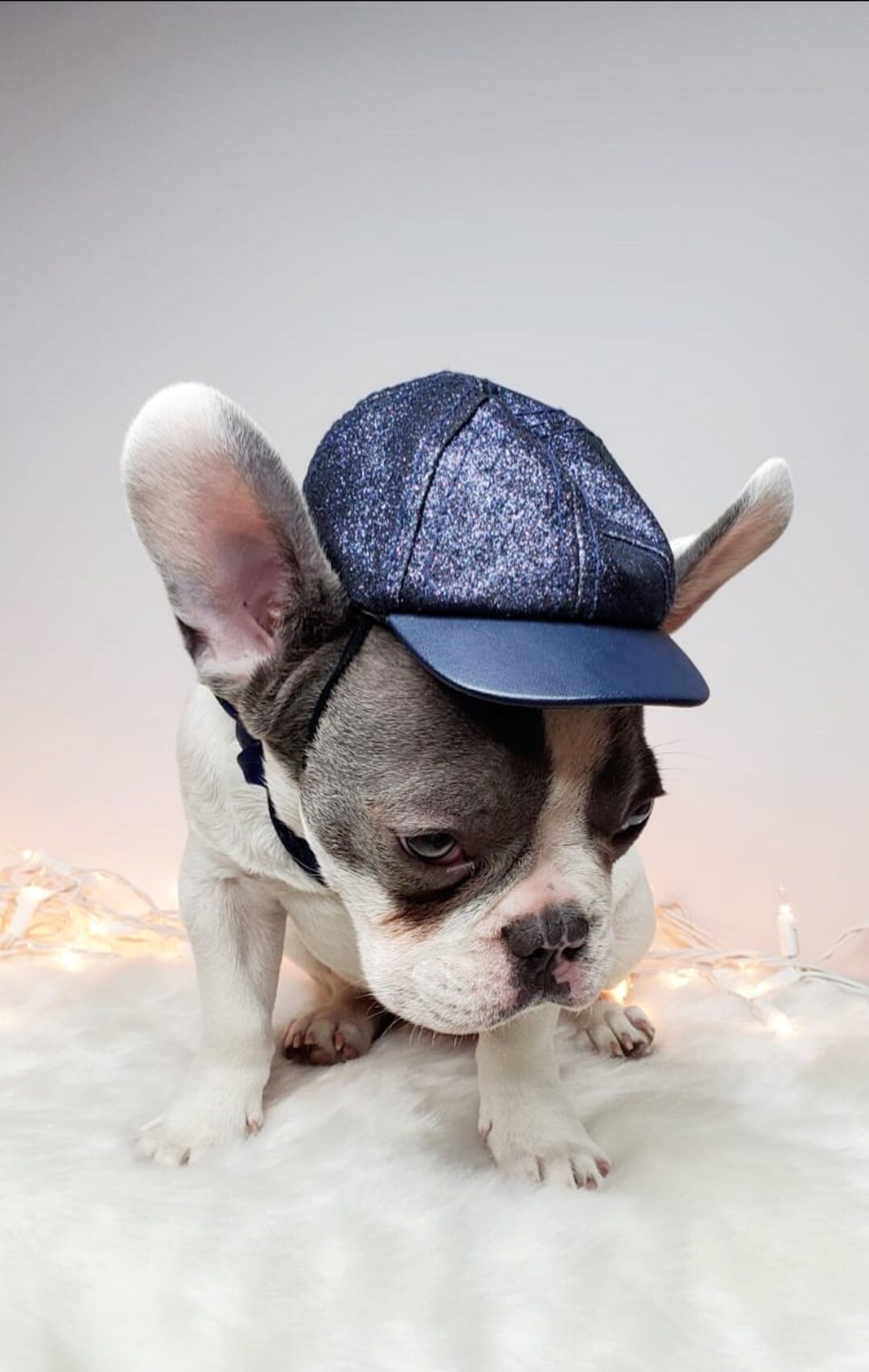 Cap for You Pet/ Cute Hat Navy Color for Dog or Cat Small Animal - Etsy