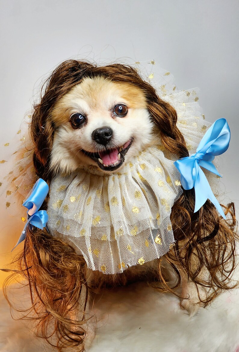 Dorothy Dog Wig, Wizard of Oz Pet Costume, Brown Color - Etsy
