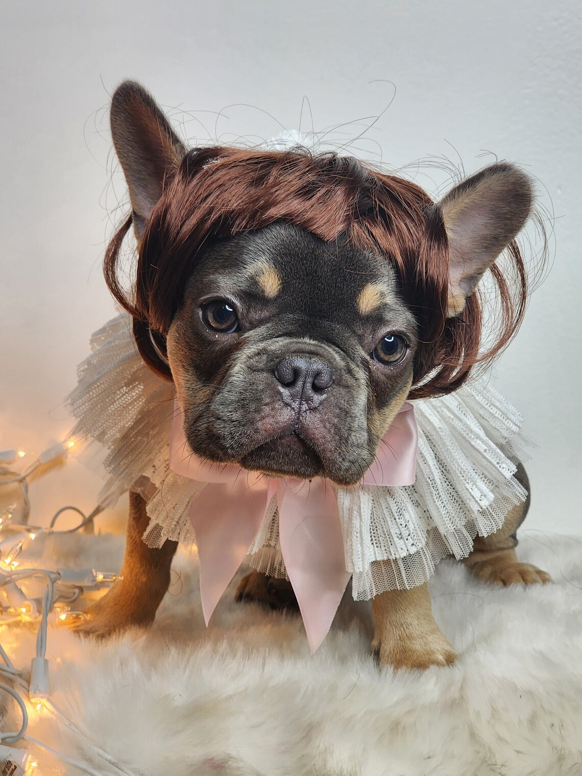 Pet Wig Brown Color for Dog or Cat/halloween Dog Wig / Pet - Etsy