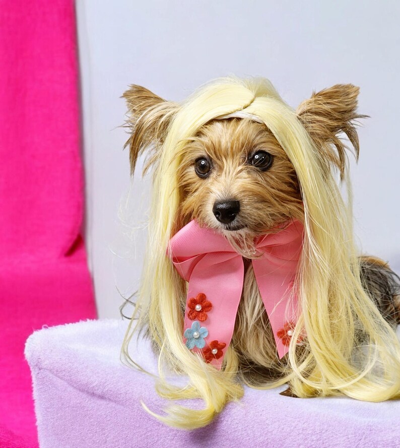 Cute Pet Wig, Halloween Costume for Dog or Cat - Etsy