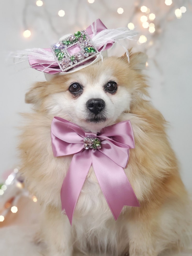 Elegant Feathered Pet Hat With Bow, XS-M Dog or Cat Costume - Etsy