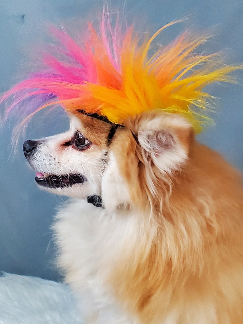 Mohawk for Your Pet / Halloween Dog Costume /cat Mohawk / - Etsy