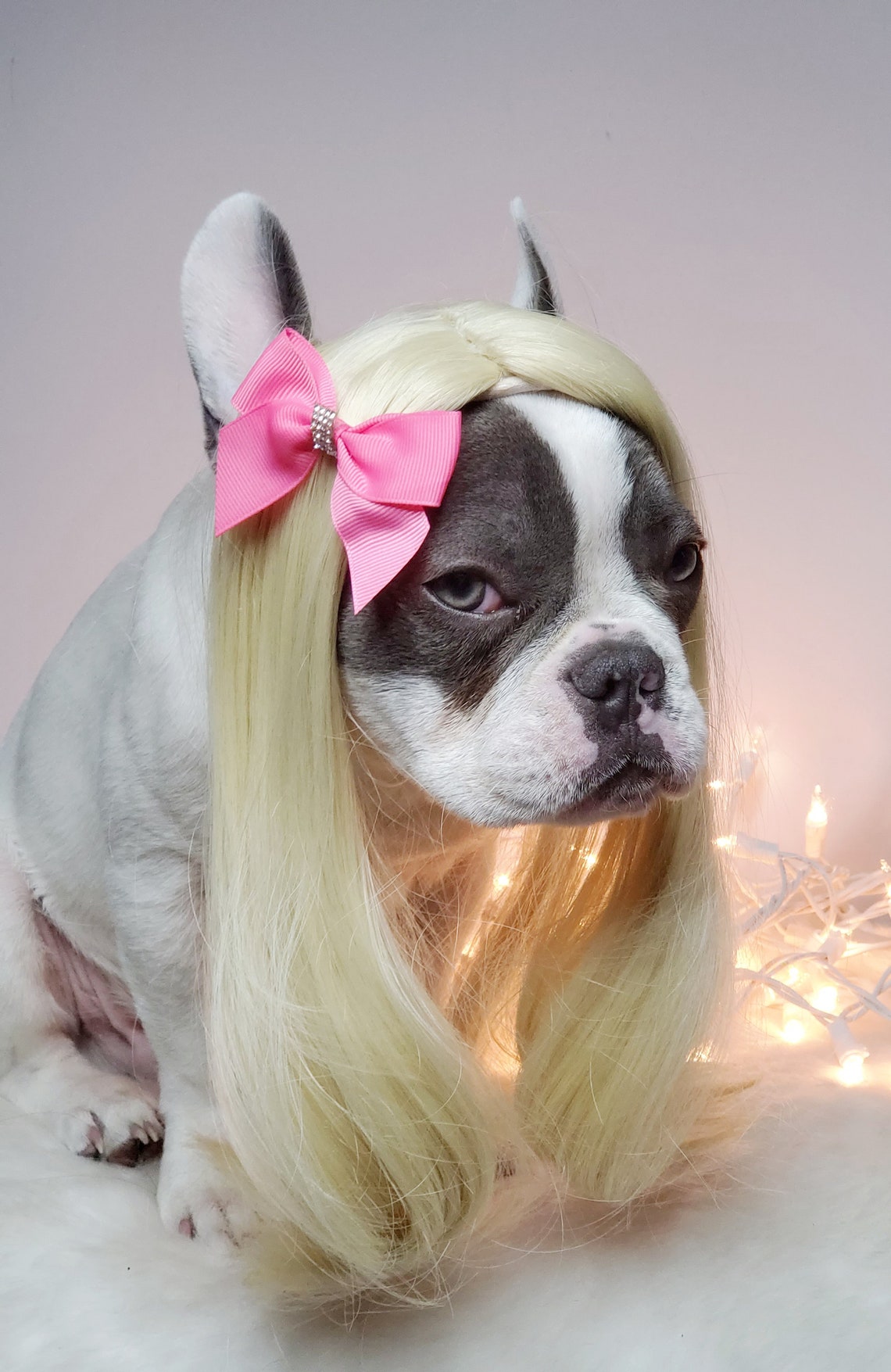 Blonde Pet Wig: Dog/cat Costume, Adjustable Fit - Etsy