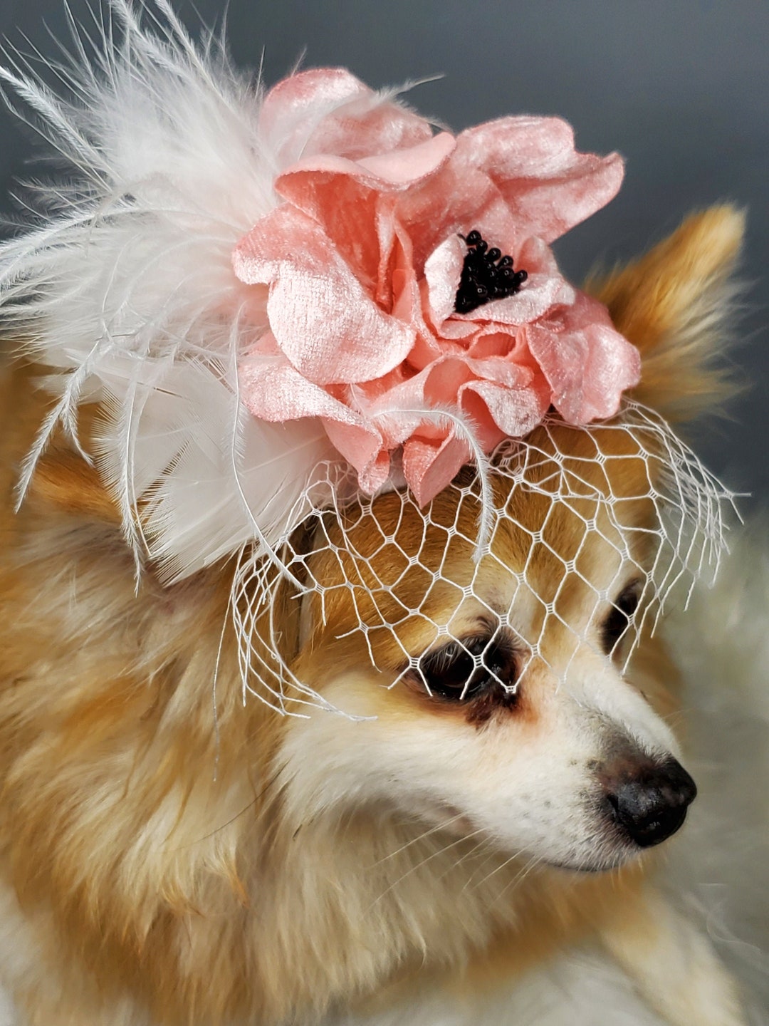 White Color Hat With Feather and Flower for Dog or Cat - Etsy