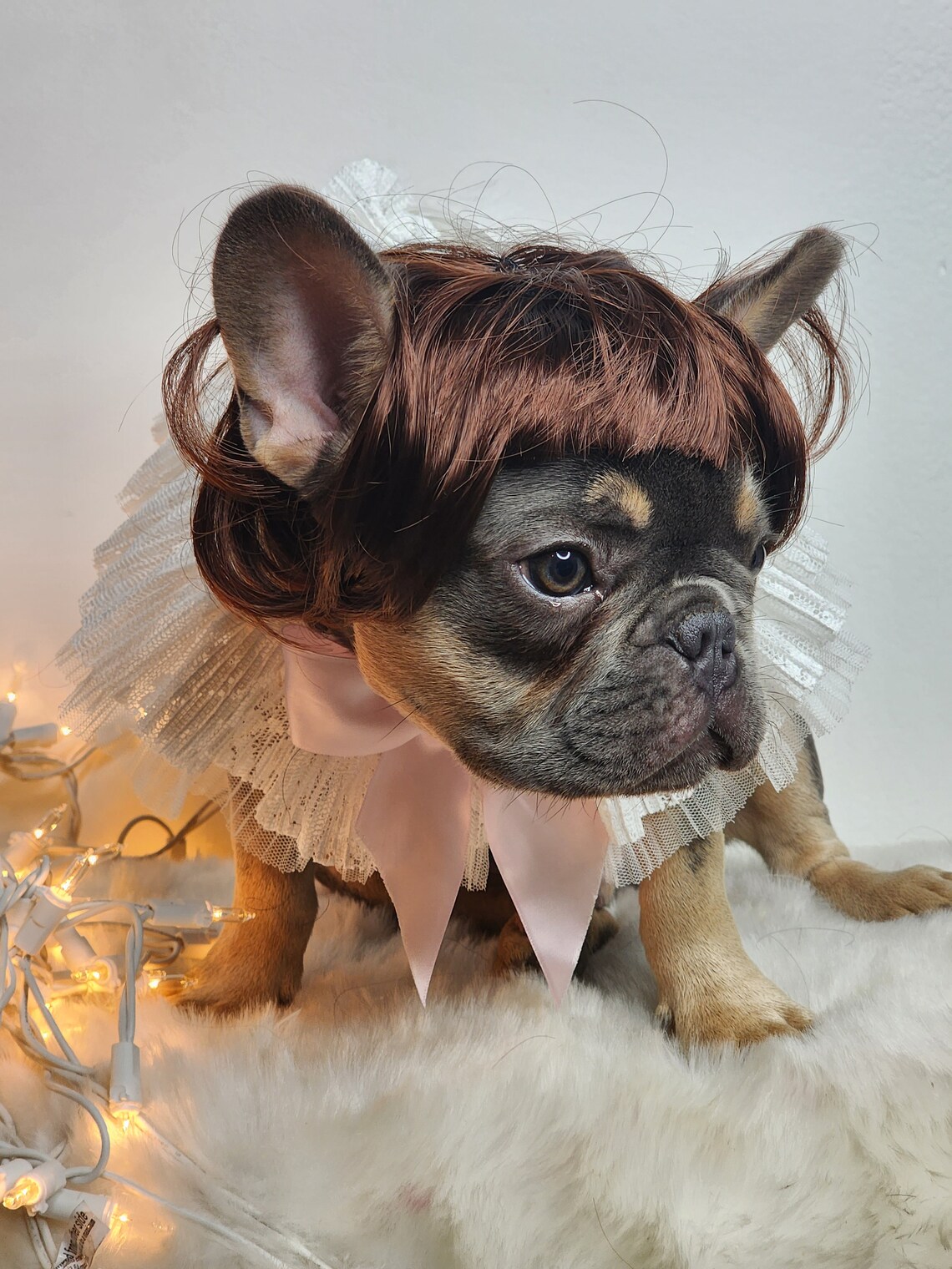 Pet Wig Brown Color for Dog or Cat/halloween Dog Wig / Pet Costume /dog ...